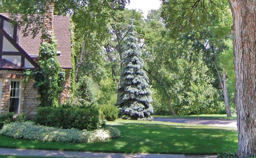 Why We Love Our Lawns: A Brief History | Rainbow Lawncare