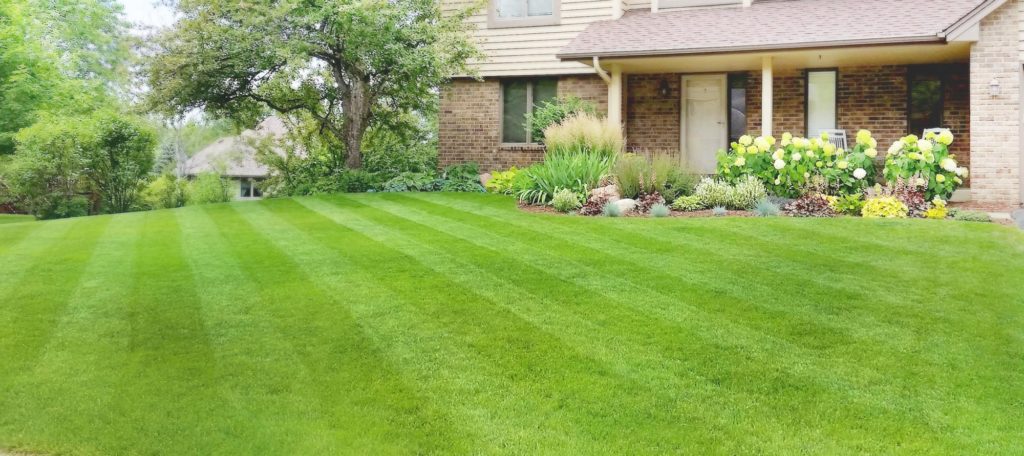 Residential Lawn Services in Minneapolis & St Paul| Rainbow Lawncare