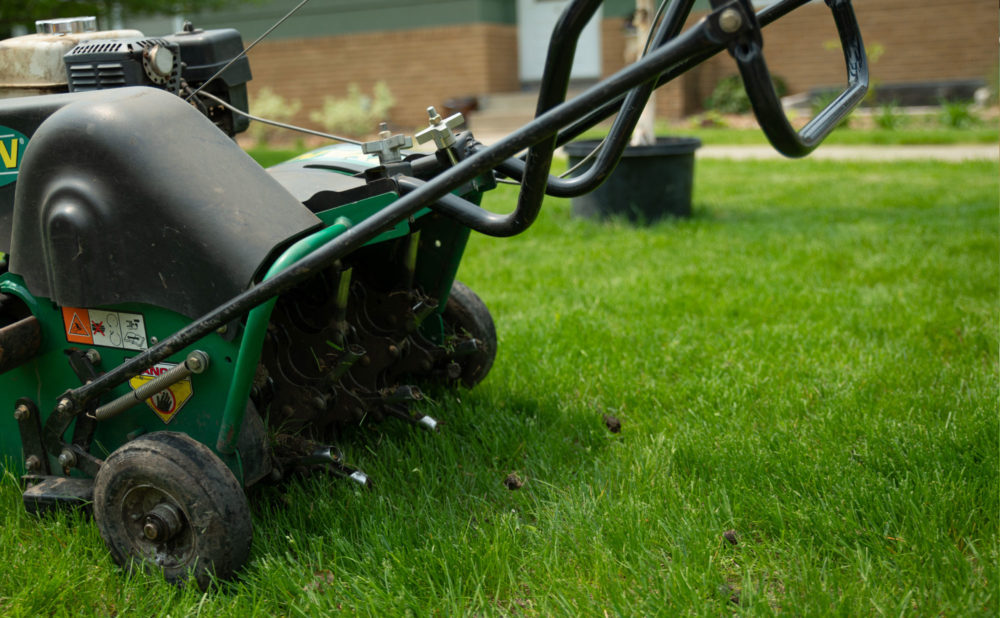 Residential Lawn Services in Minneapolis & St Paul| Rainbow Lawncare