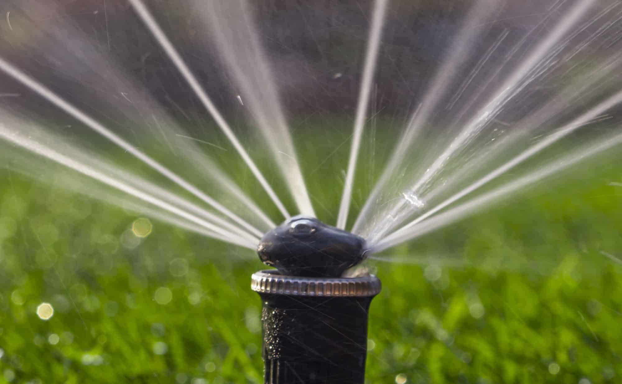 Expert Advice for Your Minnesota Lawn | Rainbow Lawncare
