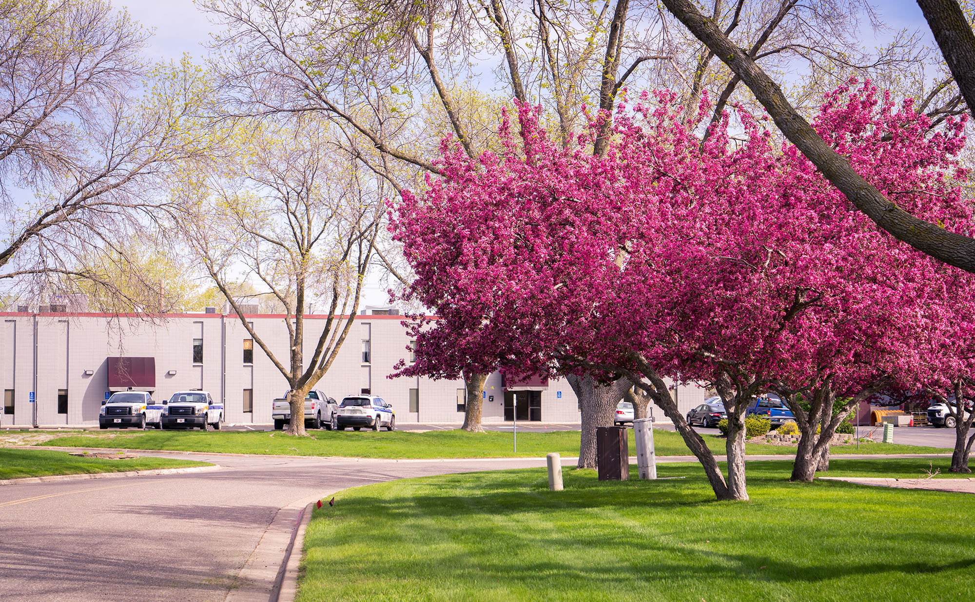 Commercial Lawn Care | Rainbow Lawncare