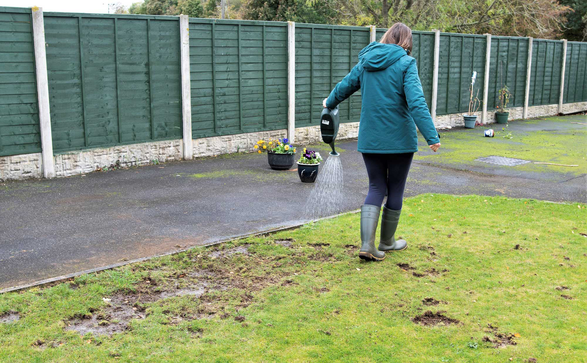 How to Redo Your Lawn: A Complete Step-by-Step Guide | Rainbow Lawncare